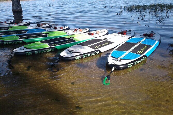 Stand Up Paddleboard Rentals - What Makes This Experience Stand Out