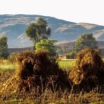 Sucre: 1-Day Trek in the Crater of Maragua and Inca Trails - The Practical Side: What’s Included and How It Works