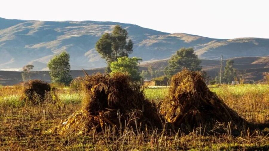 Sucre: 1-Day Trek in the Crater of Maragua and Inca Trails - The Practical Side: What’s Included and How It Works