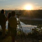 Sunset safari, alligators and capybaras. - Who Will Love This Tour?