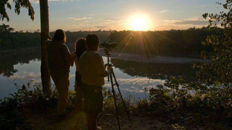 Sunset safari, alligators and capybaras. - Who Will Love This Tour?