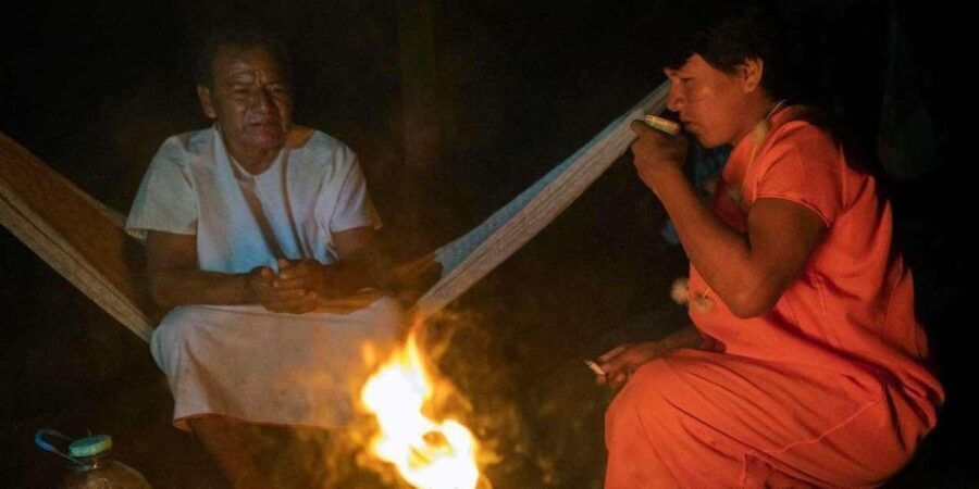 Tambopata: Ayahuasca Retreat 2 days | lodge and lunch | - What to Expect from the Itinerary