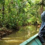 Tambopata National Reserve Tour 3 Days - An In-Depth Look at the 3-Day Tambopata Tour