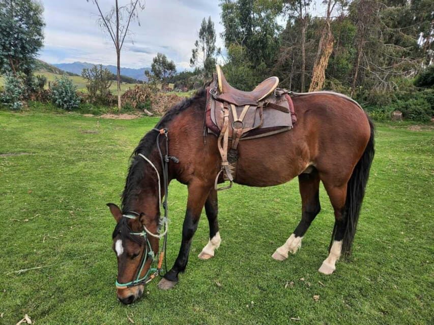 Temple of the Moon Horseback Riding Tour with Transfer - The Practical Side: Logistics and Value