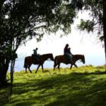 Terevaka Mount: Morning Horseback Riding & Planting Tour - Authenticity and Visitor Feedback