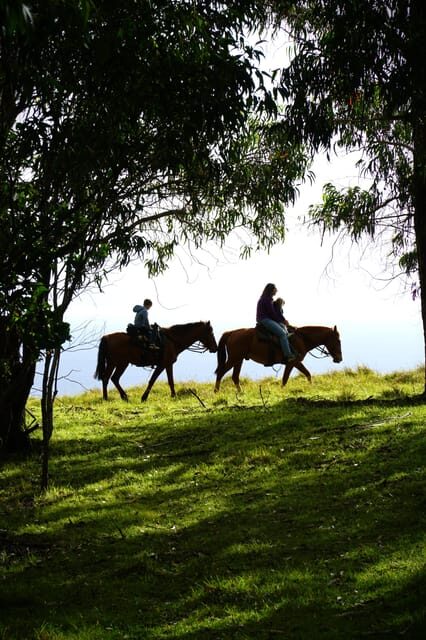 Terevaka Mount: Morning Horseback Riding & Planting Tour - Authenticity and Visitor Feedback
