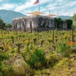 The hidden wineries of Maipo - Who This Tour Is Best For