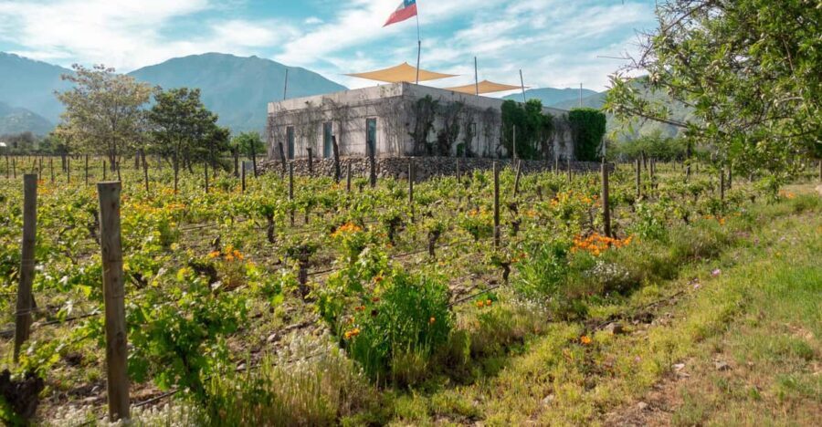 The hidden wineries of Maipo - Who This Tour Is Best For