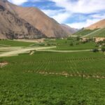 The Magnificient Elqui Valley Grand Tour - The Experience of Guides & Group Dynamics