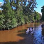 Tigre: Safari Náutico en Tigre/ Biosphere Reserve Boat Tour - Who Should Consider This Tour?