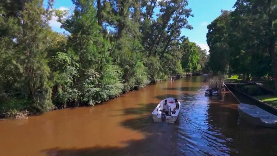 Tigre: Safari Náutico en Tigre/ Biosphere Reserve Boat Tour - Who Should Consider This Tour?