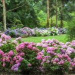 Tigre: sailing and hiking around El Descanso Island - Authentic Experiences and Guest Feedback