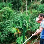 Tijuca Forest: Adventure & History Half-Day Hike - Why This Hike Is a Good Choice