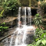 Tijuca Forest´s hike: caves, waterfalls and great views - An In-Depth Look at the Tijuca Forest Hike