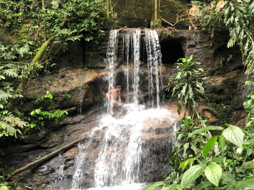 Tijuca Forest´s hike: caves, waterfalls and great views - An In-Depth Look at the Tijuca Forest Hike