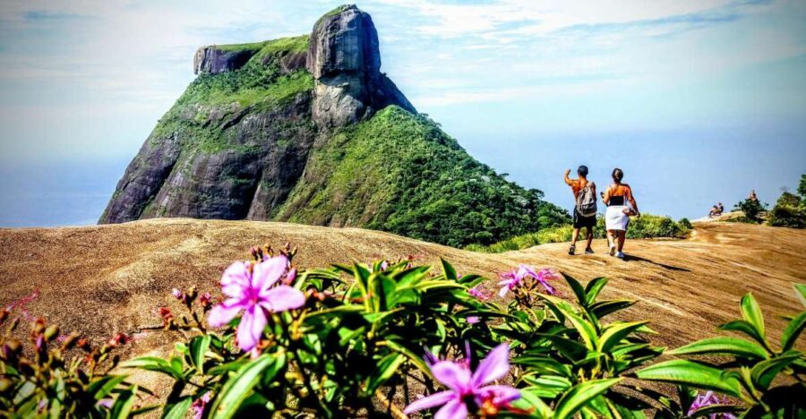 Tijuca National Park Small-Group Hike to Pedra Bonita - Why This Tour Is a Great Choice