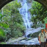 Tijuca Rain Forest - Adventure through Waterfalls & Caves - Starting the Adventure: Pickups and Scenic Drives