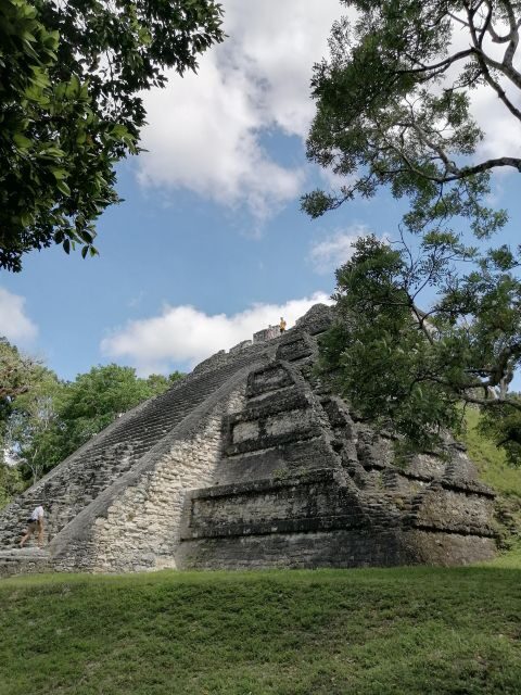 Tikal From Flores: With Transportation Lunch and Local Guide - Who Is This Tour Best For?
