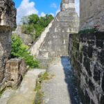 Tikal Group Tour Transportation, Guide plus Lunch - Why This Tour Works for Different Travelers