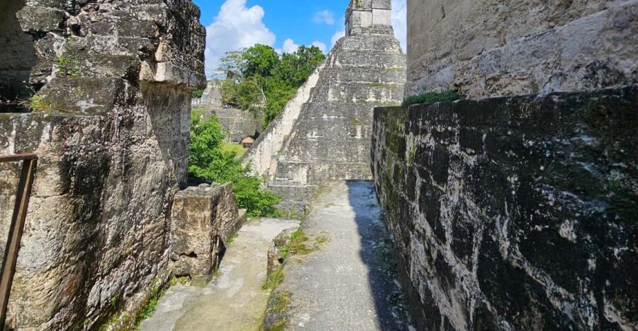 Tikal Group Tour Transportation, Guide plus Lunch - Why This Tour Works for Different Travelers