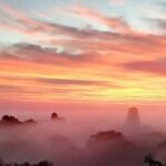 Tikal Privade Tour all included - The Experience in Detail: What to Expect from This Tour