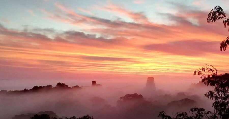 Tikal Privade Tour all included - The Experience in Detail: What to Expect from This Tour