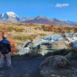 Torres del Paine Day Trip from El Calafate - The Itinerary: What You’ll Experience
