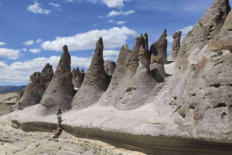 Tour 10 Hours Pillones Waterfall and Puruña Stone Forest - Spotting Vicuñas in Pampa Cañahuas