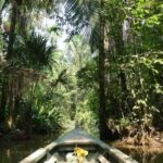 Tour en Kayak +Isla de los Monos full day - Why This Tour Offers Great Value