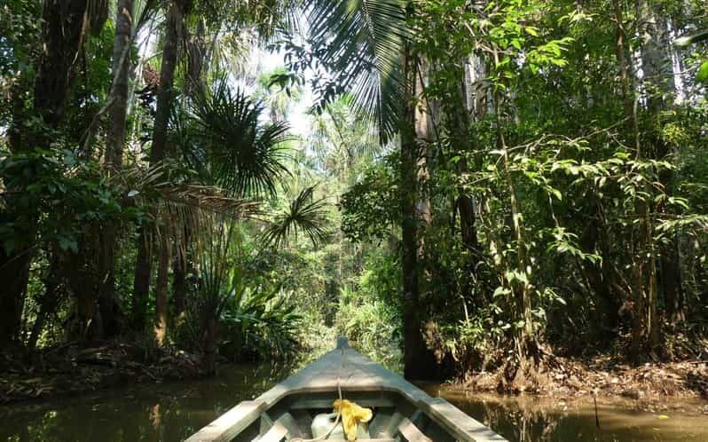 Tour en Kayak +Isla de los Monos full day - Why This Tour Offers Great Value