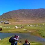 Tour Fullday Colca Canyon with Breakfast and Typical Lunch - A Deep Dive into the Colca Canyon Full-Day Tour