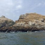 Tour islas Palomino - Who Would Love This Tour?