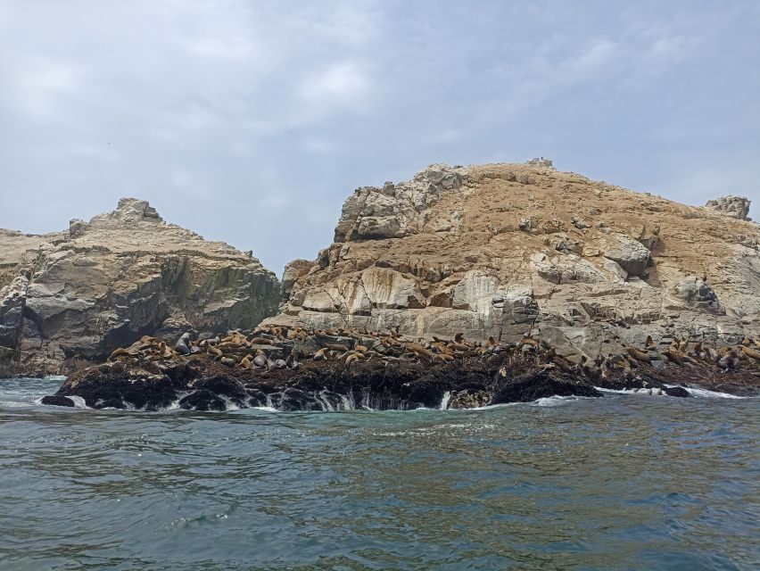 Tour islas Palomino - Who Would Love This Tour?