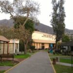 Tour of the Museum of Gold of Peru and Weapons of the World - Who Will Enjoy This Tour Most?