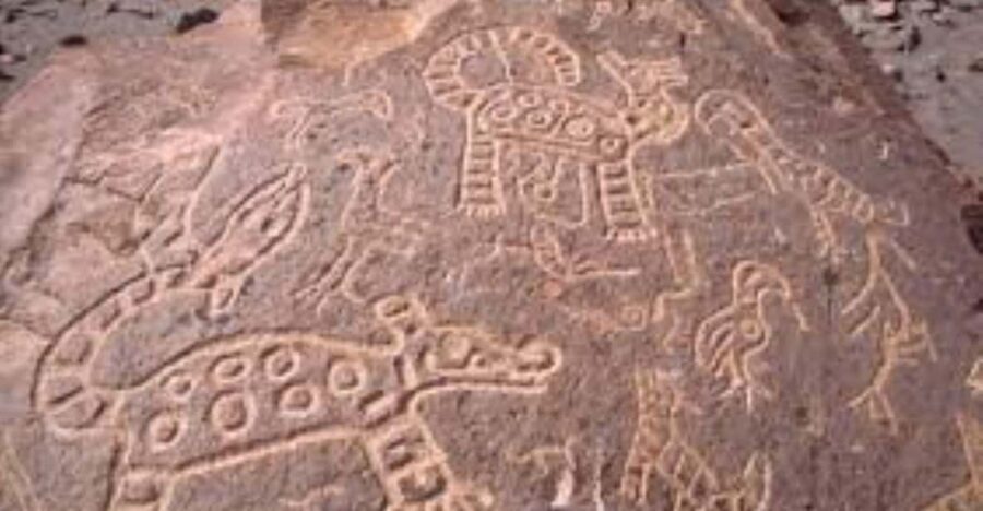 Tour Petroglyphs of Dead Bull and Querullpa - Practical Considerations