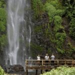 Trekking/Hiking Yarumo Blanco Waterfall from Pereira or Arme - Who Will Love This Tour?