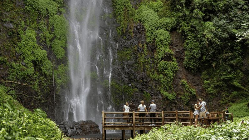 Trekking/Hiking Yarumo Blanco Waterfall from Pereira or Arme - Who Will Love This Tour?