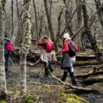 Trekking to Emerald Lagoon - Why This Tour Offers Great Value