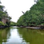 Tumbes: Puerto Pizarro islands and mangroves - Transportation, Group Size, and Accessibility