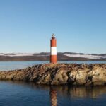 Ushuaia: Beagle Channel Catamaran Tour - A Closer Look at the Experience