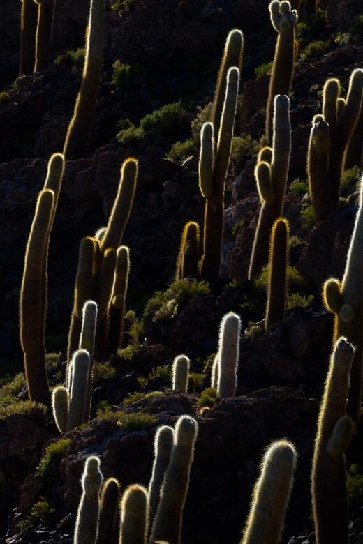 Uyuni: Salar de Uyuni Traditional Tour+Sunset Tour - Who Should Consider This Tour?