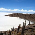 Uyuni Salt Flat and Incahuasi Island 5 days - Is This Tour Worth It?