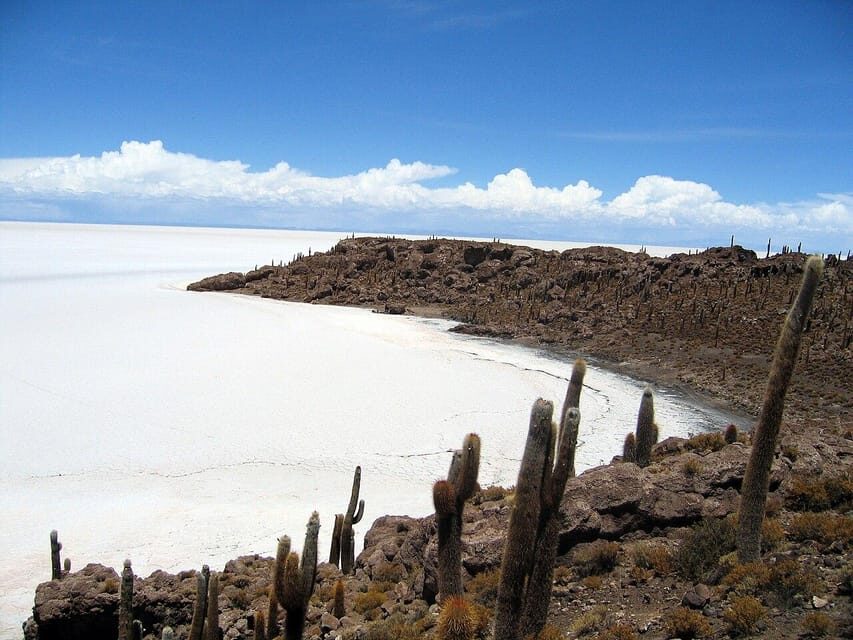 Uyuni Salt Flat and Incahuasi Island 5 days - Is This Tour Worth It?
