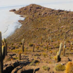 Uyuni Salt Flats 1 day + photo session + Sunset (Spanish) - The Journey Begins: From Potosí to the Salt Flats
