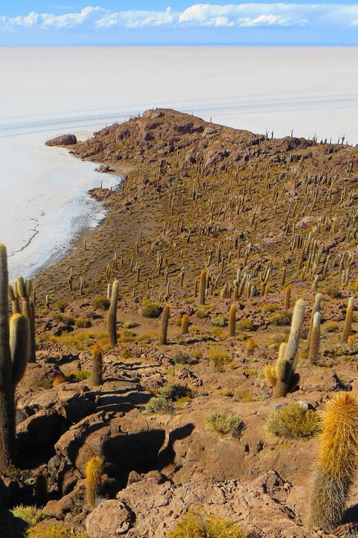 Uyuni Salt Flats 1 day + photo session + Sunset (Spanish) - The Journey Begins: From Potosí to the Salt Flats