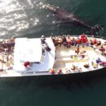 Valdes Peninsula: Full Day with Whale Watching - What to Expect and Practical Tips