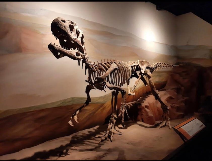 Valle inferior del Rio Chubut - The Itinerary Breakdown