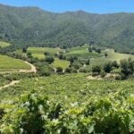 Valparaíso, Viña del Mar and Casablanca Full Day Experience - What’s Included and What’s Not