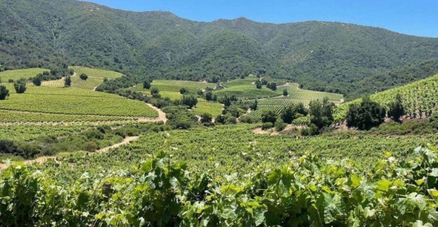 Valparaíso, Viña del Mar and Casablanca Full Day Experience - What’s Included and What’s Not