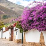 Villa de Leyva Trip by Private Transportation - Who This Tour Is Best For